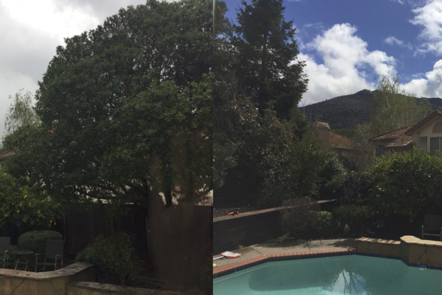 How Perception Can Cloud Your Vision for Your Life - Valencia Ray, MD